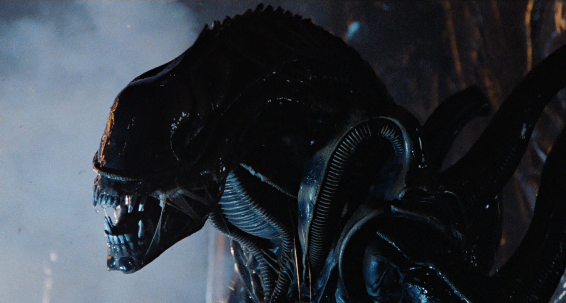 Disney’s Newest Princess: Lady Xenomorph (Movie Monday) – Jonah's Books ...