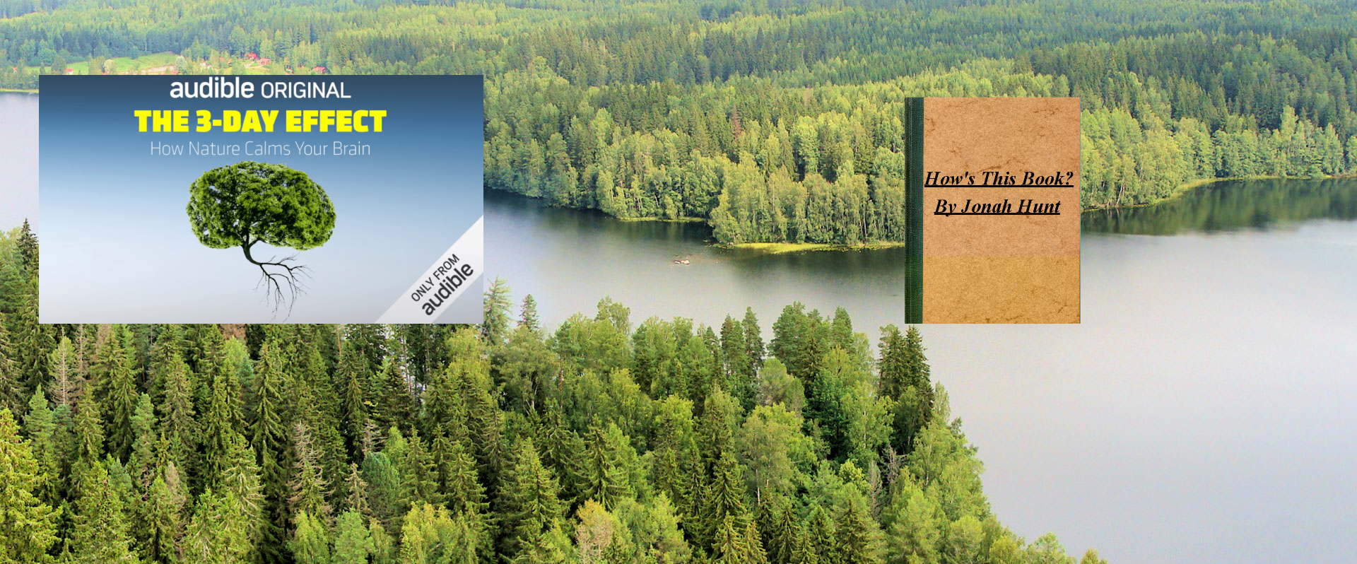The 3-Day Effect: Hug a Tree, Hug Yourself (How’s This Book?) – Jonah's ...